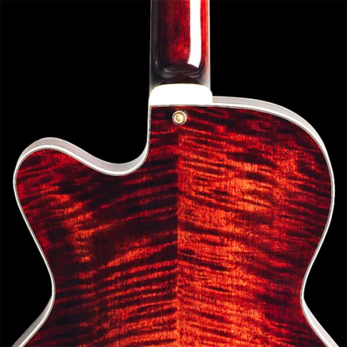 eastman-t145sm-back-3 — Guitars 'n Jazz